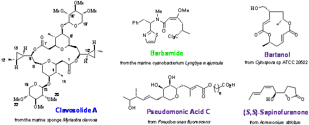 Natural products isolated from bacteria, fungi and plants are a rich ...