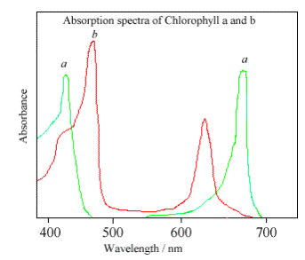 Electromagnetic Spectrum